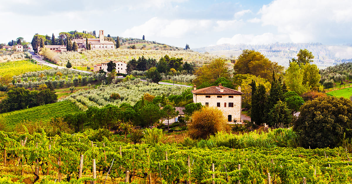 Things to do in Tuscany: a celebration of Art, Wine, and History - See ...